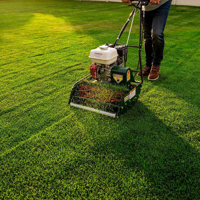 California Trimmer | Classic High-Cut 20 in. Gas Walk Behind Self ...