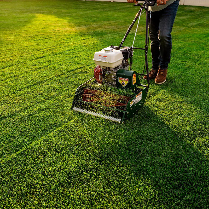 California Trimmer | Classic High-Cut 20 in. Gas Walk Behind Self ...