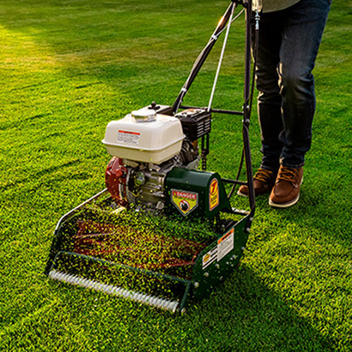 California Trimmer | Classic Standard 20 in. 7-Blade Gas Walk Behind ...