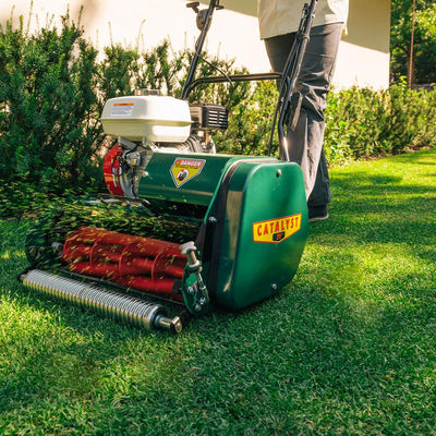 California Trimmer | Catalyst 25 in. Gas Walk Behind Reel Lawn Mower